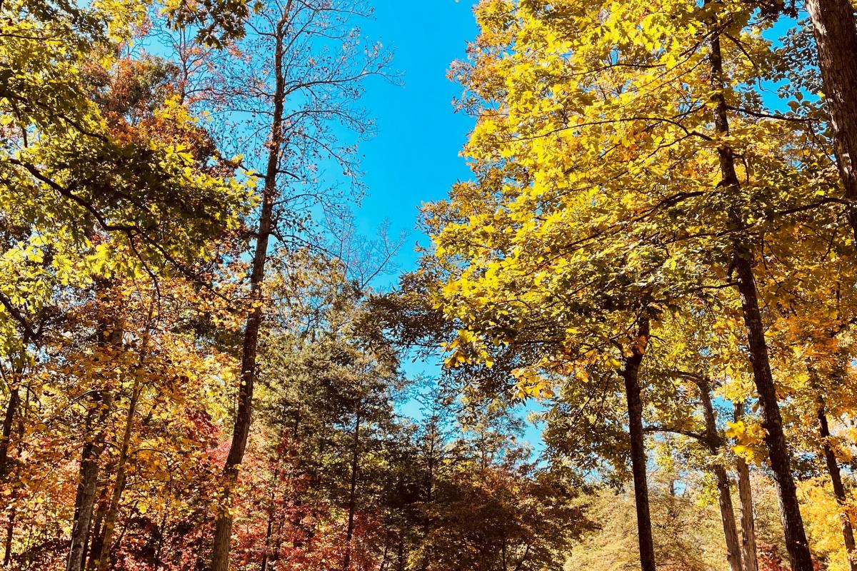 Hurt, VA