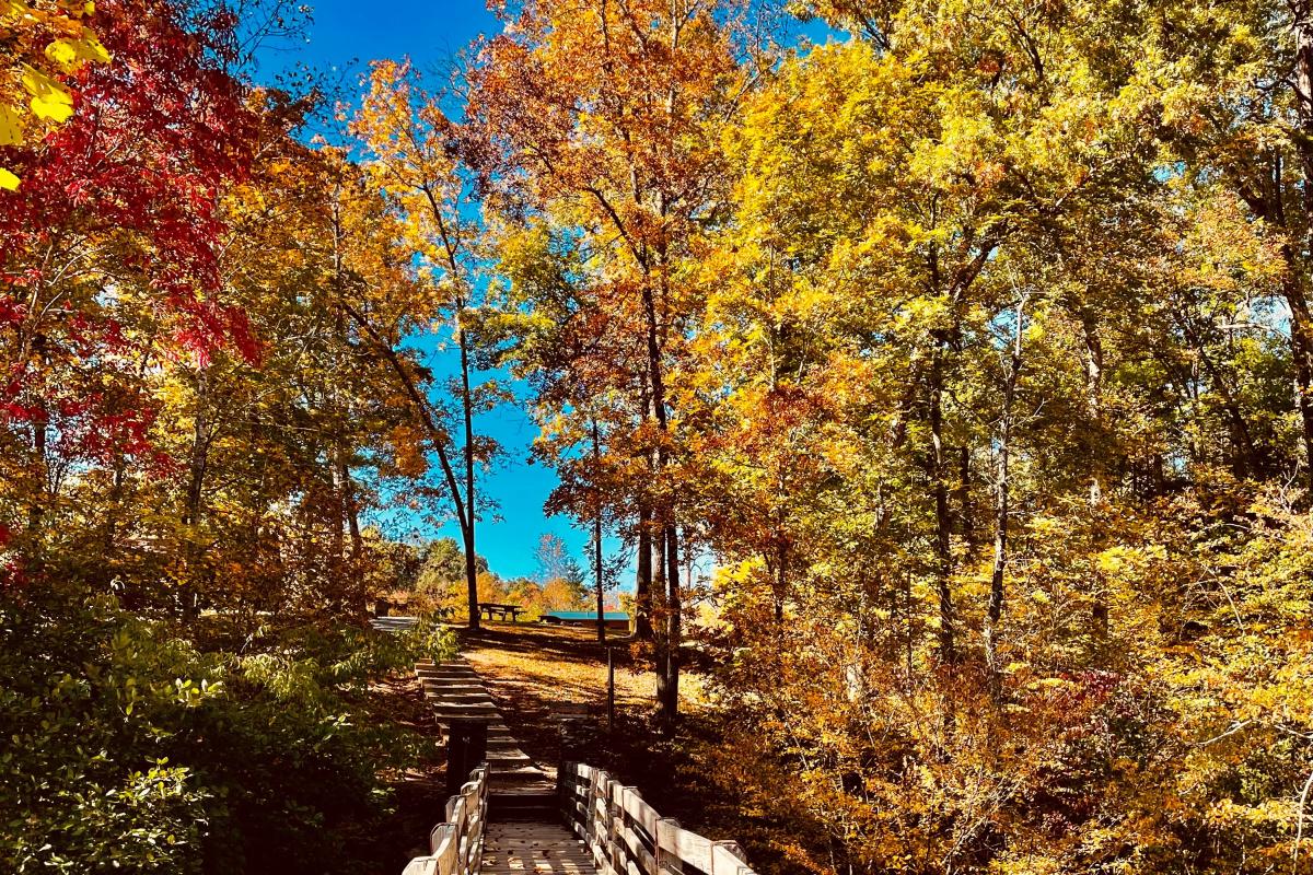 Hurt, VA