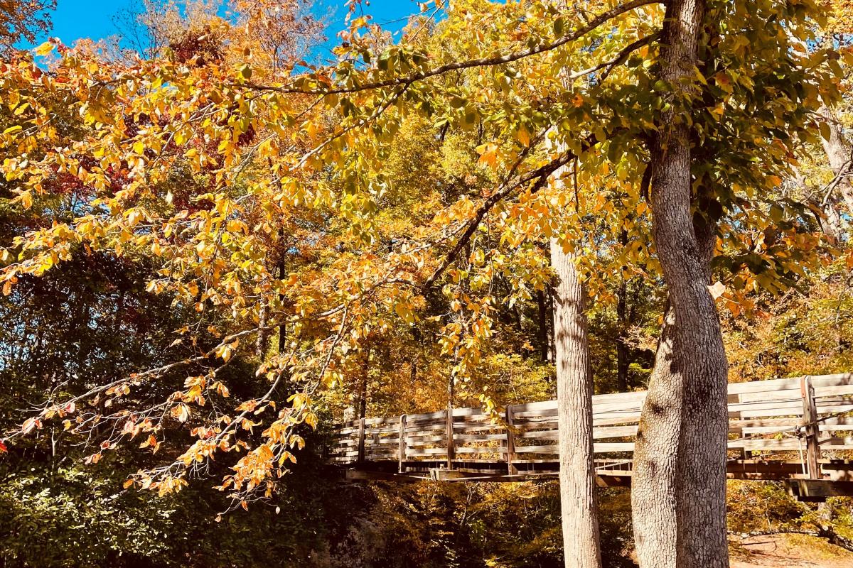 Hurt, VA